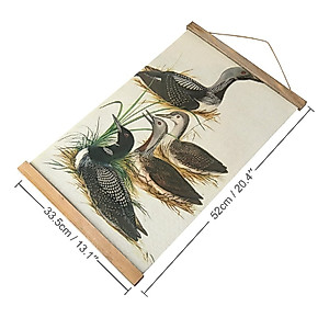 BAWUTZ Red-throated Loon Frame Scroll Poster Wall Hanging Decor Paintings Wood Frame Kit Hanger for Living Room Bedroom Decoration