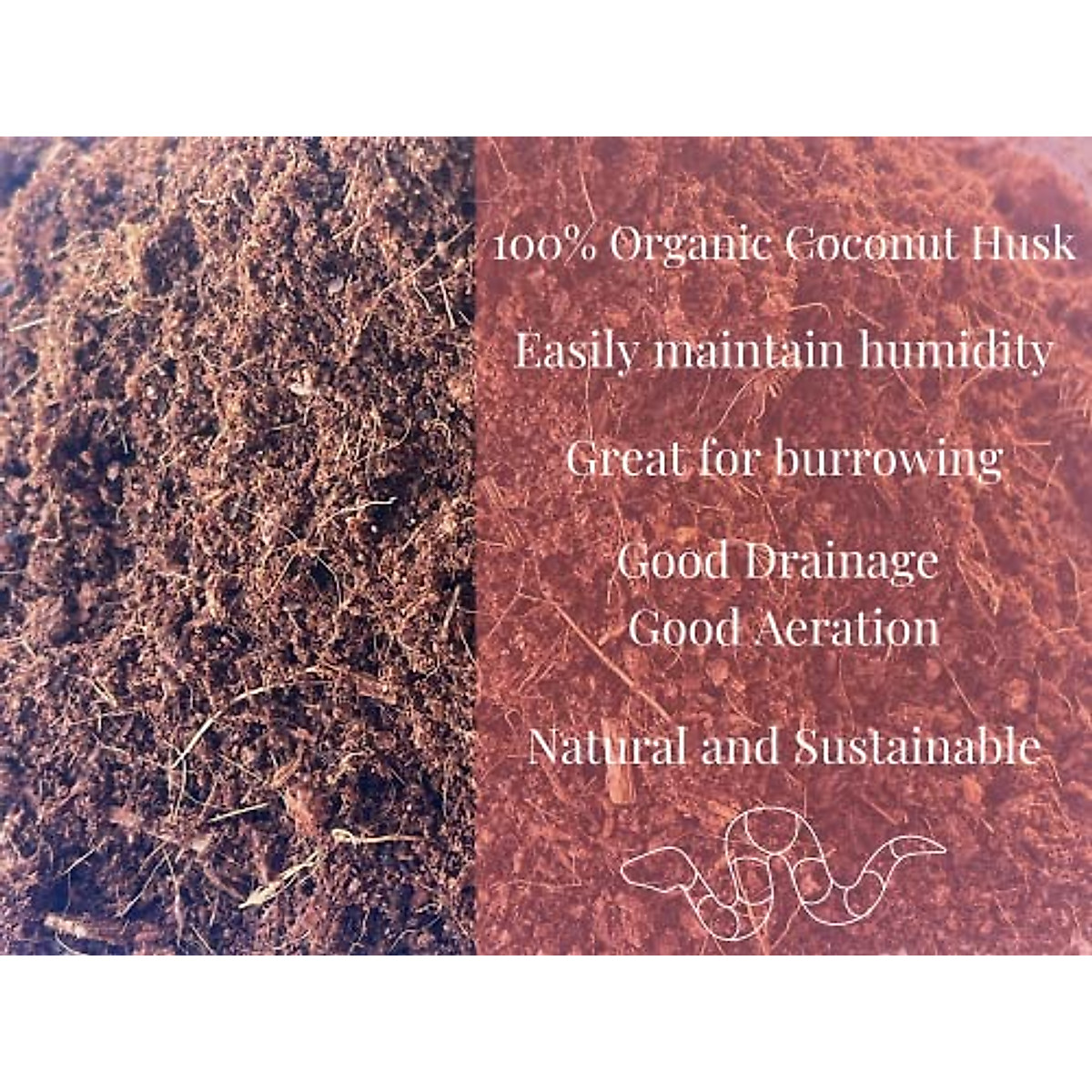 Snout and Shell Coco Peat Reptile & Amphibian Bedding 1.4 lbs - Perfect for Frogs, Salamanders, Geckos & Snakes Tunneling - 100% Organic Coconut Husks - 650 Grams, Brown