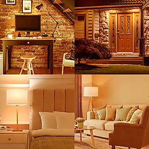 LUXRITE A19 Edison LED Orange Light Bulb, 4.5W (60W Equivalent), Colored Glass Filament, UL Listed, E26 Standard Base, Indoor Outdoor, Porch, Decoration, Party, Holiday, Event, Home Lighting