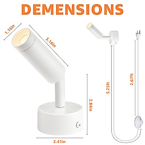 URTOM 2 Pack Indoor Spot Lights, 120V LED Accent Up Lights, 3W Plant Spotlights, 3000K Floor Spotlights for Plants, Pictures, Desk - Uplights with 5.9 FT Plug Cord and Foot Switch