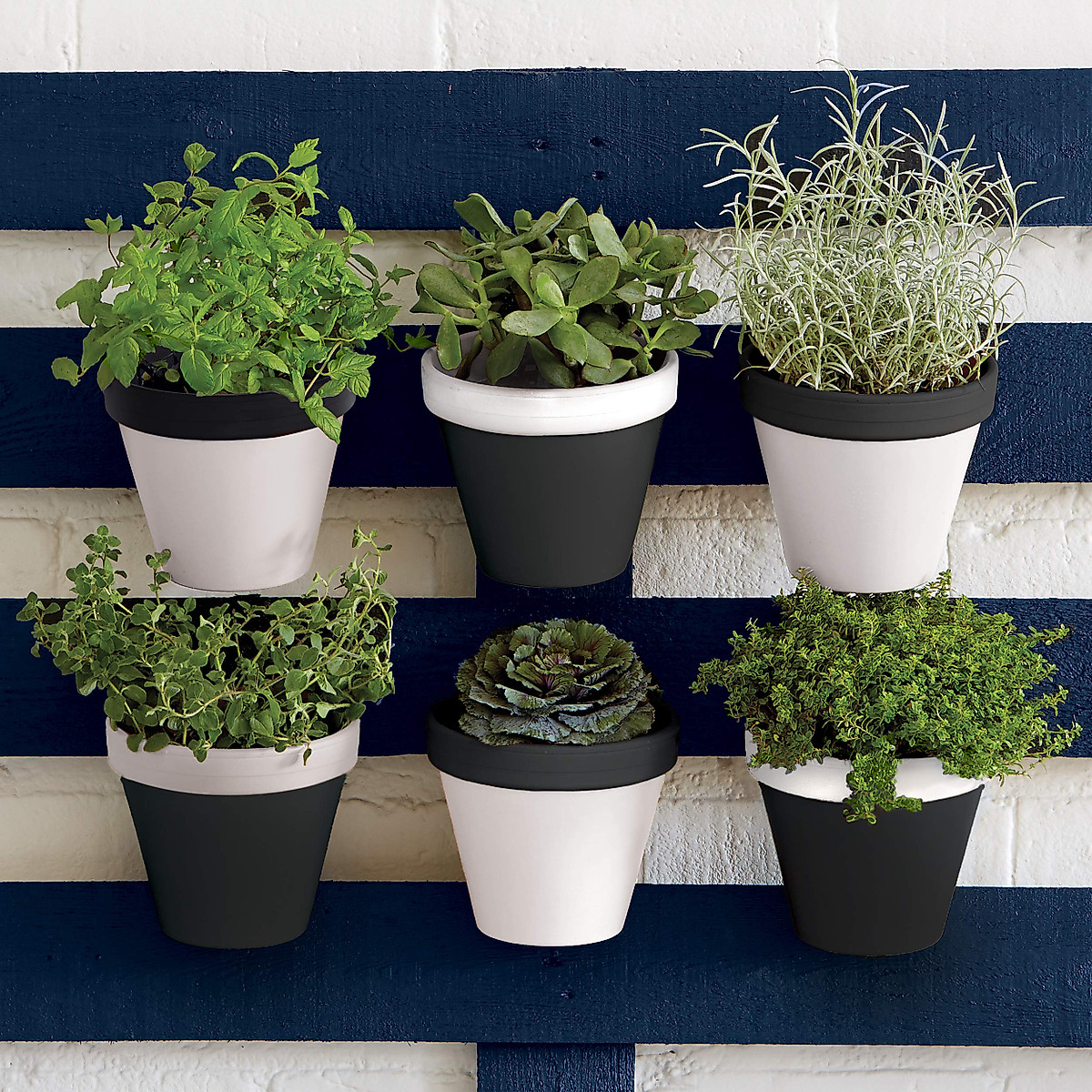 Krylon K05546007 COLORmaxx Spray Paint and Primer for Indoor/Outdoor Use, Flat Black , 12 Ounce (Pack of 1)