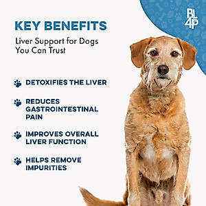 Hepatic Liver Support for Dogs - Dissolvable Homeopathic Liver and Digestive Canine Supplement for Liver Detox and Nutrient Absorption - 100% All Natural - Easy to Give, Free of Chemicals or Additives