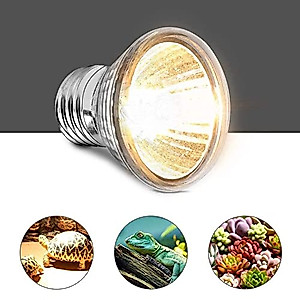Dehydrator 4Pack Reptile Healthy Heat Lamp 25W/50W/75W Heating Light for Turtles Aquatic Lizard Snake Amphibian (Size : 75W)