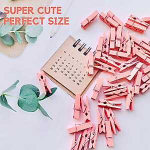 Clothes Pins Mini Clothespins Pink - 100 PCS Wooden Small Clothespins for Pictures with Jute Twine Tiny Photo Paper Clip, Ideal for Baby Shower, Crafts, Chip Clips, Home Office Decoration