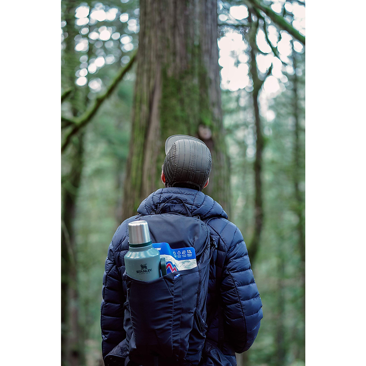 Mountain House Pad Thai with Chicken | Freeze Dried Backpacking & Camping Food |2 Servings | Gluten-Free