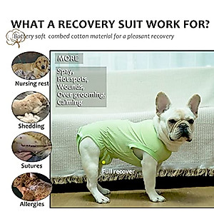Sychien Dog Recovery Suit Large for Female Spay,Male Post Surgery Recovery Combed Cotton Bodysuit,Green XXL