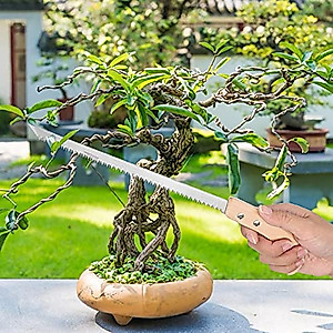 Hand-Held Pruning Saw, Bonsai Saw and Tree Trimmer, Narrow Blade Bonsai Saw, Fast Cutting Hand Tool for Ikebana Bonsai Lawn Garden