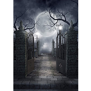 OUYIDA Halloween Theme 6X9FT Pictorial Cloth Seamless Customized Photography Backdrop Background Studio Prop TP17