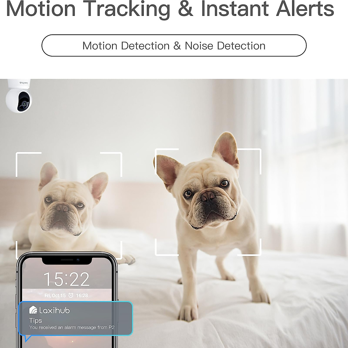 LAXIHUB 360° Pet Camera with Phone App, Indoor Security Camera for Baby/Dog, P2 Pan/Tilt Pet Monitor with Super IR Night Vision, Motion Detection & 2-Way Audio, Works with Alexa & Google Assistant