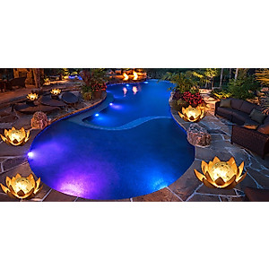 CALENDULA Garden Decoration Light, Solar Lights Outdoor, Crackle Globe Glass Lotus Decoration, Waterproof Flower Light for Patio,Lawn,Walkway,Tabletop,Ground