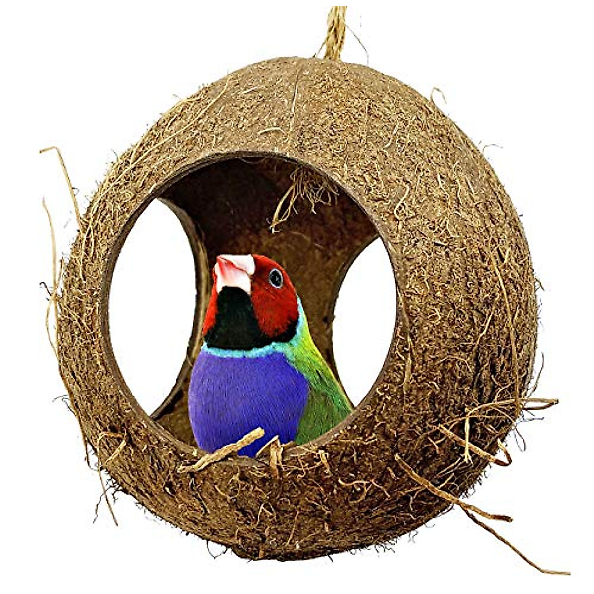 Bonka Bird Toys 2114 Three Hole Coco Hut Nest