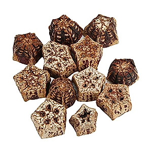 Zerodis 60 Pcs Bird Toys, Parrot Chew Nuts Toys for Bird Beak Cockatiel Budgies Parakeets Lovebird Toys Dried Nuts for Boredom Relief