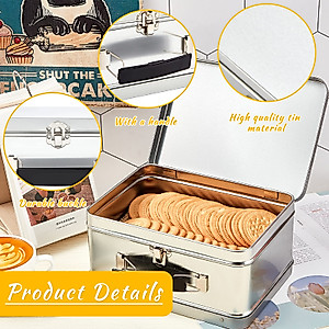 6 Pack DIY Lunch Box Tin Retro Set 8 x 6 x 4 inches with Hinged Lids DIY Large Fun Box for Storage Blank Design Vintage Metal Lunch Box for Kids Sandwich Containers (Silver)