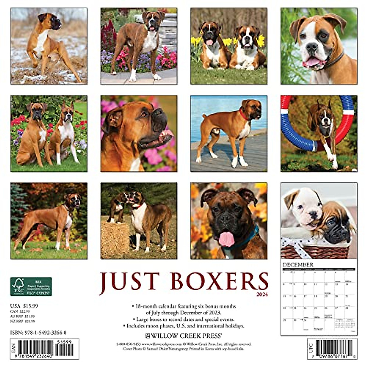 Willow Creek Press Boxers Monthly 2024 Wall Calendar (12" x 12")