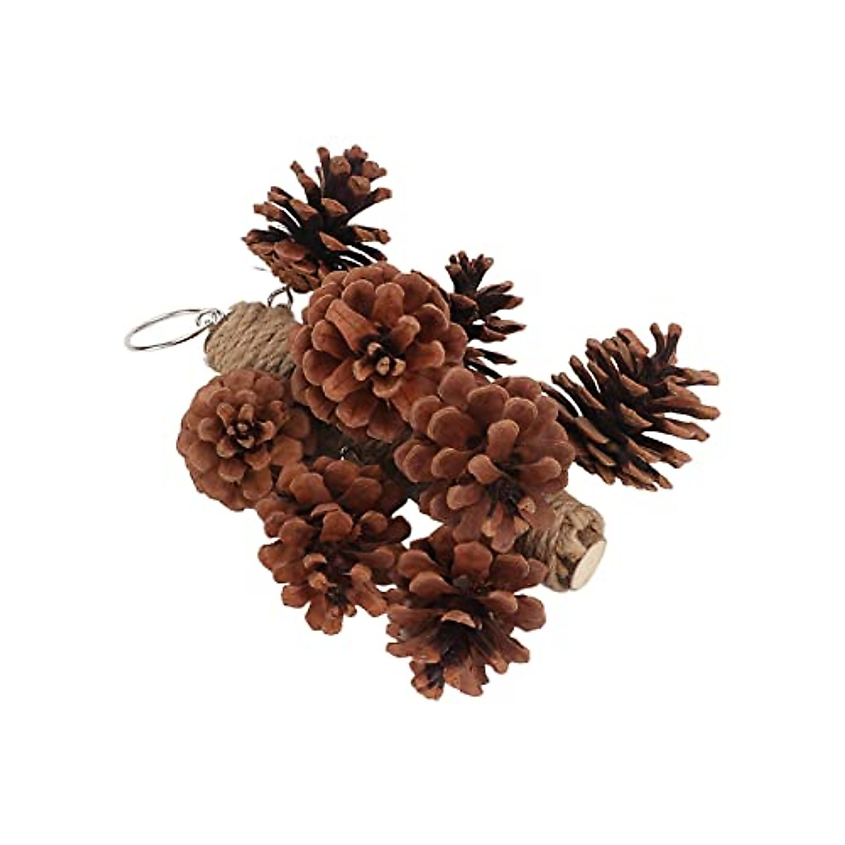 Parrots Pine Cone Chewing Toy, Hamster Chew Toys Hanging Wooden Pine Cones Bird Cage Funny Chewing Toy for Parakeet Cockatiel Grey Lovebirds Budgies Cockatoos(S)