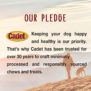 Cadet Gourmet Beef Rib Bones for Dogs - Healthy & Natural Dog Chew Bones - Inspected & Tested in USA, (3 Count)