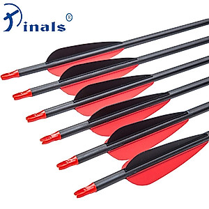Pinals Archery 300 340 400 Spine Carbon Arrows for Compound Bows Traditional Recurve Bow Longbow 30 Inch Shafts Hunting Target Arrow 12PCS Spine 300