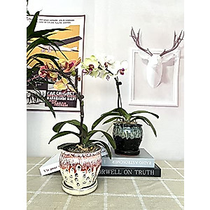 Orchid Pots with Holes 4.33 inch Ceramic Orchid Planter White and Black (Set of 2)