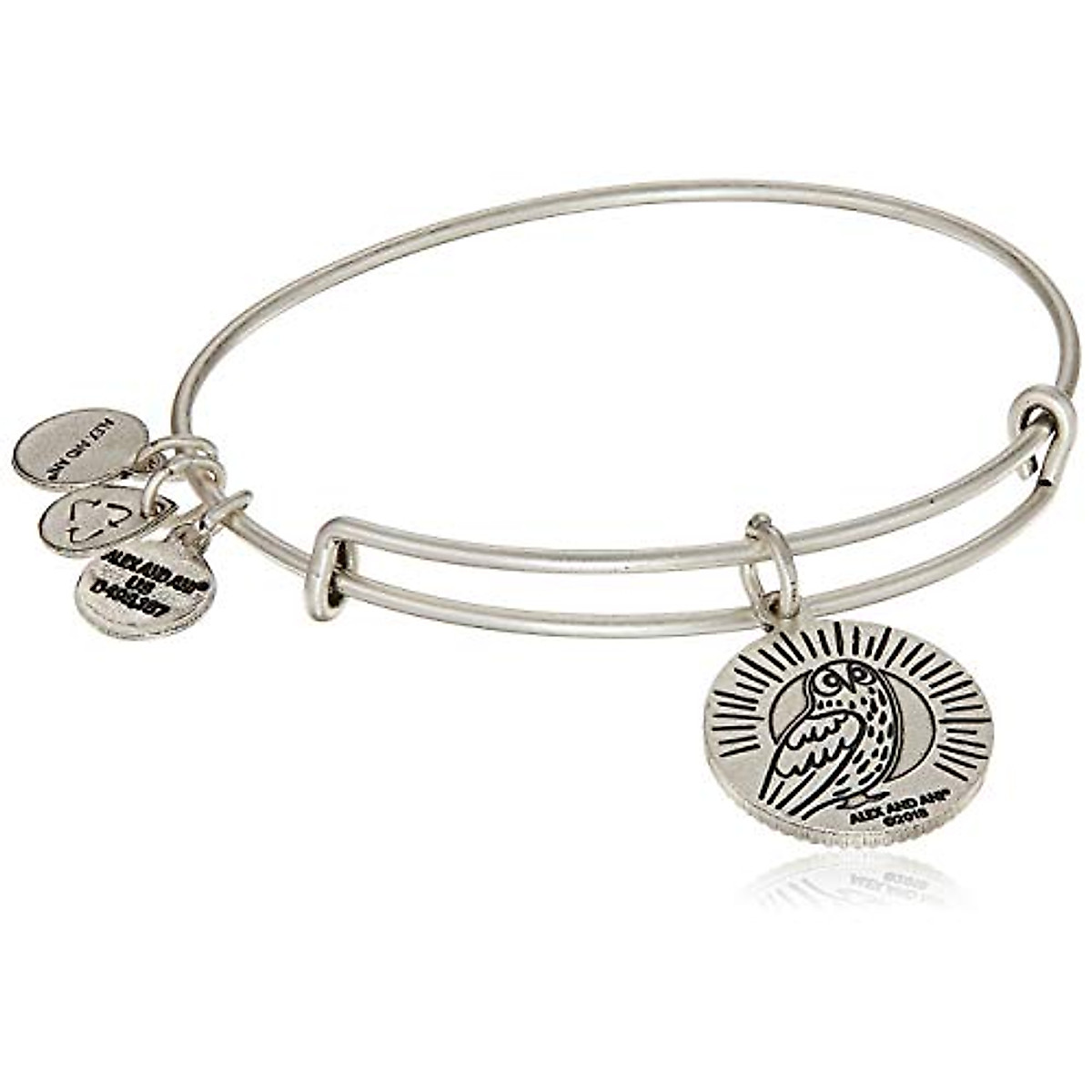 Alex and Ani Occupations Expandable Bangle for Women, Teacher Charm, Rafaelian Silver Finish, 2 to 3.5 in