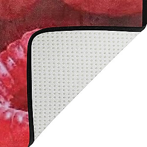 Doormat Welcome Door Mat-Red Raspberries As Background 4x5 Film,Living Room Kitchen Floor Mat Home  Indoor Outdoor Decoration 24X16INCH