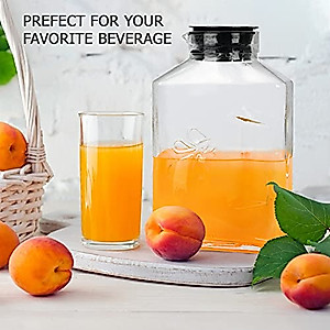 68 Ounces Glass Pitcher with Plastic Lid,Clear Water Jar BPA-Free Water Jug for Cold Water,Great for Iced Tea, Sangria, Milk,Lemonade, Christmas Party Drinks and More