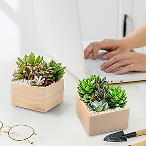 GNIEMCKIN 24 Pack 4 x 4 Inch Wooden Box, Unfinished Small Square Wooden Box, Rustic Wooden Box, Organizer Storage Wood Box for DIY Crafts, Collectibles, Succulents, Desktop Drawer Decor