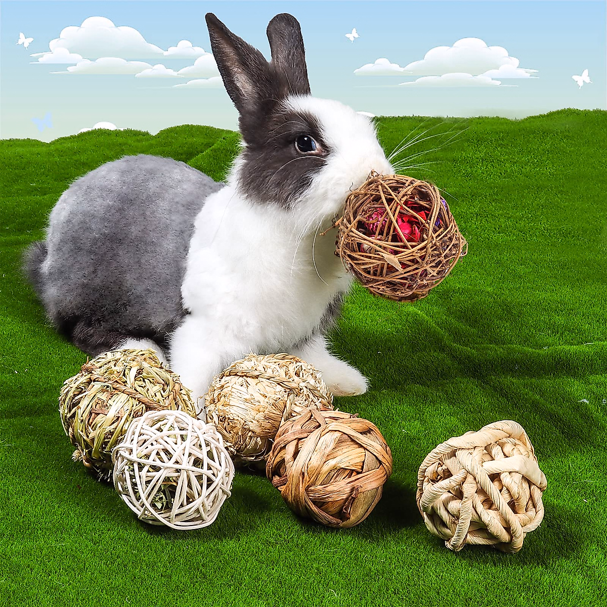 DAMPET Small Animals Play Balls, Chew Grass Balls & Rolling Chew Toys for Bunny, Improve Pets Dental Health for Rabbit, Chinchilla, Guinea Pigs, Hamsters, Gerbils, Rats, Mice (6 Pieces)