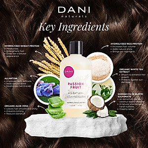 DANI Natural Moisturizing Shampoo Naturals - Juicy Passion Fruit Scent - Organic Aloe Vera & Coconut Cleansers - Sulfate, Phthalate & Paraben Free - Vegan & Cruelty Free - 12 Ounces