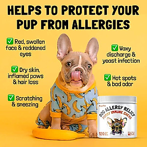 LEGITPET Allergy Relief Chews for Dogs & Immune Support with Kelp, Colostrum & Bee Pollen 120 Soft Chews and Probiotics for Dogs with Natural Digestive Enzymes 120 Soft Chews Bundle - Made in USA