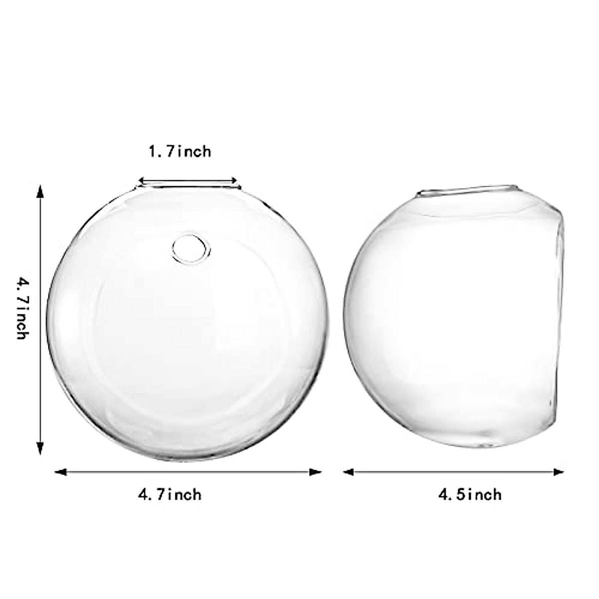 yarlung Set of 6 Wall Hanging Planters Terrarium, Glass Oblate Globe Plants Containers Wall Mount Flower Vase for Propagating Hydroponics Plants, Air Plants (Plants Not Included)