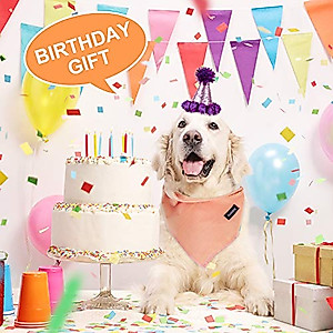 Gofshy Small Dog Bandanas-5PCS Puppy Bandanas Green Orange Pink Blue Gray Stripes Printing Dog Bib Scarf Accessories for Small XSmall Dogs Cats Pets(S)