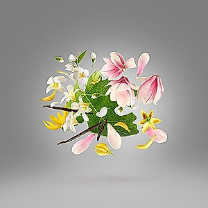 Xerjoff Casamorati 1888 XERJOFF X Ouverture for Unisex Eau de Parfum Spray, 3.4 Oune