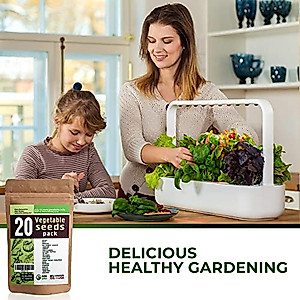 20 Vegetable Seeds Variety - USA Grown for Indoor or Outdoor Garden - Heirloom and Non GMO - Tomatoes, Zucchini, Peppers, Eggplant, Carrot, Cauliflower, Pumpkin, Celery, Radish and More