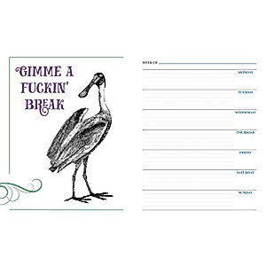 Effin' Birds Undated Monthly/Weekly Planner Calendar: A Field Guide to Identification