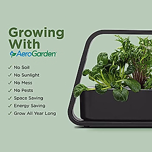 AeroGarden Sprout with Gourmet Herbs Seed Pod Kit - Hydroponic Indoor Garden, White & Grow Anything Seed Pod Kit for AeroGarden Hydroponic Indoor Garden, 9-Pod