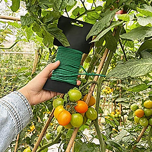 Tenn Well Green Garden Plant Ties, 66 Feet 2.8mm Bendable Plant Training Wire Trellis Wire for Supporting Tomato Plants, Climbing Roses and Cucumbers (2PCS X 33 Feet)