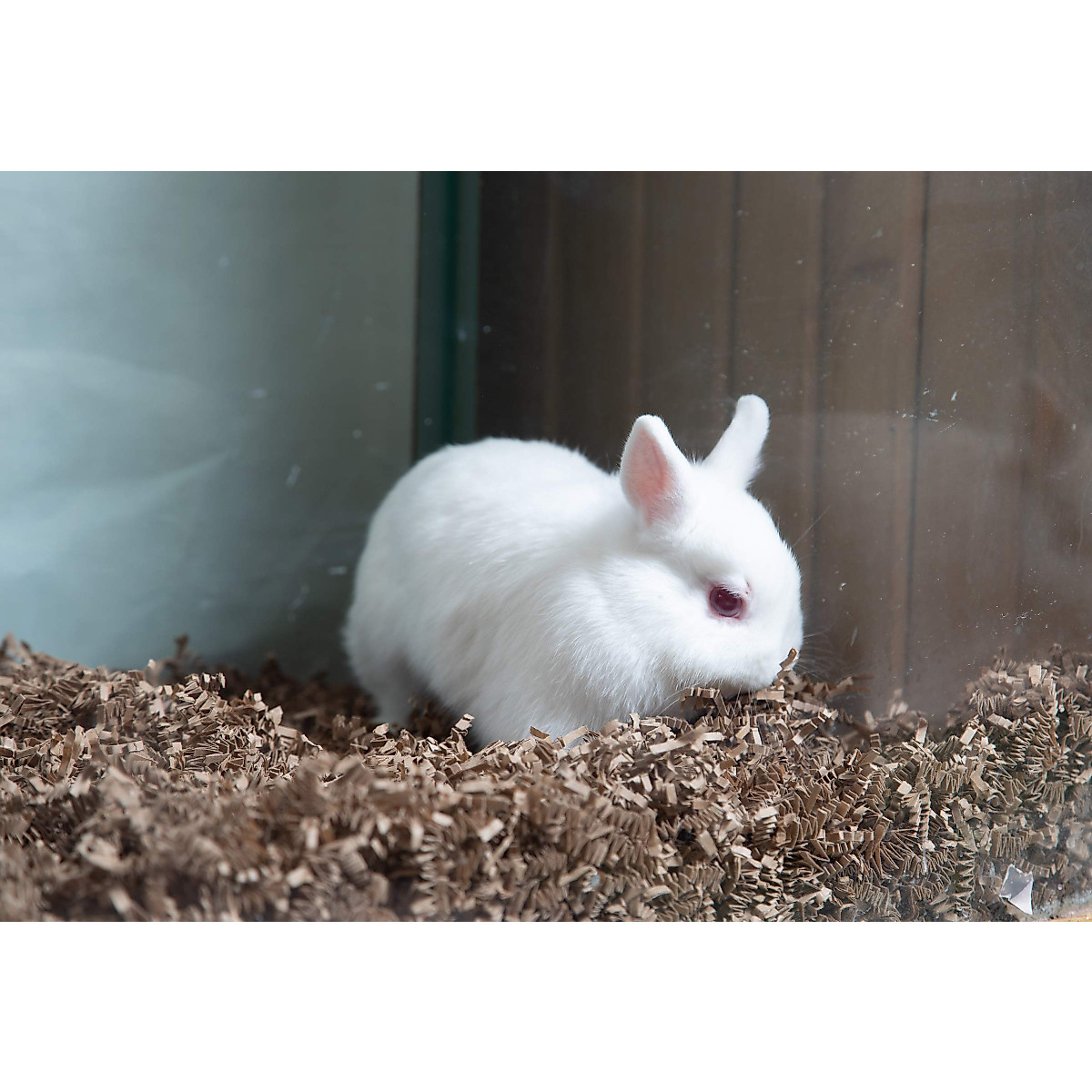 FiberCore Eco-Bedding Odor Control Pet