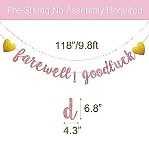 Farewell！Good Luck Banner, Pre-Strung, No Assembly Required, Rose Gold Paper Glitter Party Decorations for Going Away / Graduation / Job Change / Moving / Retirement Party Supplies, Letters Rose Gold,ABCpartyland