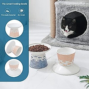 6.25 Inch Extra Wide Raised Ceramic Cat Bowls, Round Food and Water Bowls for Elder Big Cats and Small Dogs, Elevated Heavy Sturdy Base Pet Feeder Dish, Stress Free, Protect Cat's Spine, Set of 2