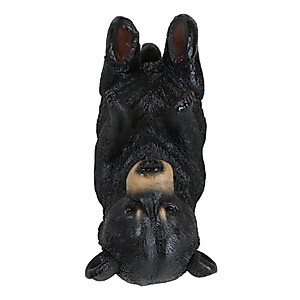 Ebros Gift Rustic Western Forest Animal Drunken Black Bear Wine Oil Bottle Holder Figurine 10" Long Cabin Lodge Farmhouse Country Accent Decor