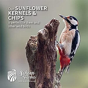 Schoen Farms Sunflower Kernels and Chips (10 LBS) Hearts, Bird Seed