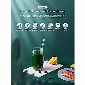 Slow Juicer Machines, HOUSNAT Cold Press Juicer Extractor for Fruits & Vegetables Easy to Clean, 2-Speed Mode with Quiet Motor & Reverse Function, Slow Masticating Juicer with Recipe (Silver Gray)
