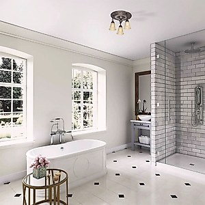 Hunter 80707z Garden District Decorative Bathroom Ventilation Exhaust Fan and Light, Oil Rubbed Bronze Finish