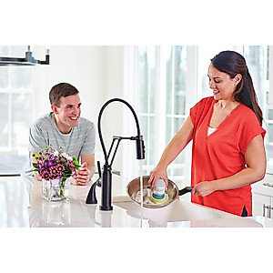 BLACK+DECKER BHPC102A Grimebuster Heavy Duty Replacement Sponges