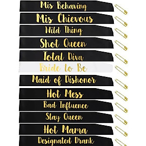 GEMICH Bride sash/Bridesmaid sash(12 Pack)