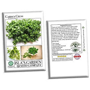 Curled Cress Seeds for Planting, aka "Garden Cress", 500+ Heirloom Seeds Per Packet, (Isla's Garden Seeds), Non GMO Seeds, Botanical Name: Lepidium sativum, Great Home Herb Garden Gift