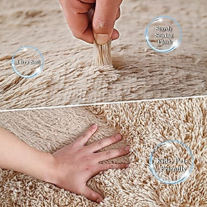 YUFANUHO Beige Rugs for Living Room, Ultra Soft Indoor 4x6 Feet Beige Shaggy Area Rugs for Bedroom, Kids Room, Home Decor High Pile Velvety 4'x6' Shag Carpets, Beige/Camel