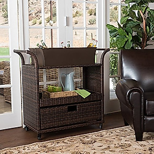 Christopher Knight Home Ravenna Barcart, Multibrown