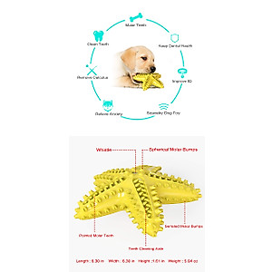 ANROD Dog Toothbrush Chew Toys for Aggressive Chewers Large Breed,Squeaky Talking Dogs Toy,Rubber Indestructible Tough Teeth Cleaning Stick for Small Dogs Dental Care (Yellow Starfish)