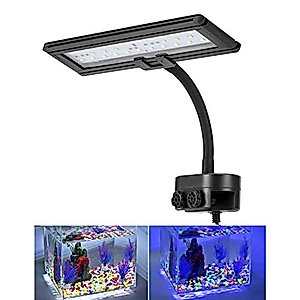 hygger 9.7 Inches Blue White LED Aquarium Light Clip on Small Led Light for Planted Saltwater Freshwater Fish Tank with Gooseneck Clamp 13W